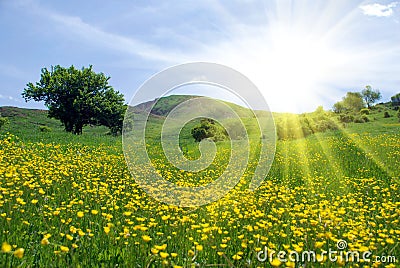 Beautiful Nature Scene Stock Images - Image: 9505434