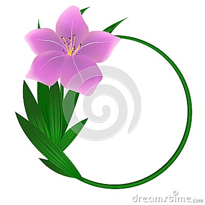 Beautiful Round Lily Flower Background Stock Image - Image: 18863551