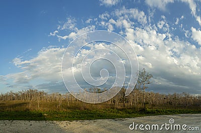Beautiful Scene In The Florida Everglades Landscape. Stock Photo ...