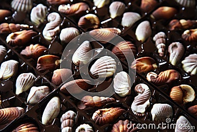 Beautiful Shell Shaped Chocolates Royalty Free Stock Photography ...