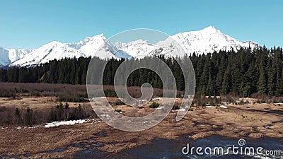Spring in the Alaskan Wilderness Stock Footage - Video of travel ...