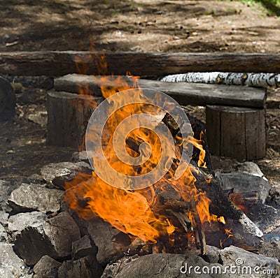 View Of A Bonfire Burning In Bright Fire In The Forest Near A Makeshift ...