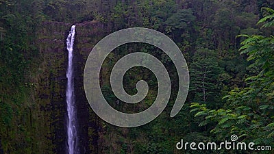 Beautiful View of a Waterfall in Hilo Hawaii Stock Footage - Video of ...