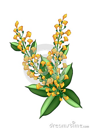Beautiful Yellow Padauk Flower Isolated On White B Cartoon Vector ...