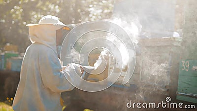Bee-maker Beekeeper Man Working of a Smoke Pipe Beeper Smoker Device ...