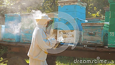 Bee-maker Beekeeper Man Working of a Smoke Pipe Beeper Smoker Lifestyle ...