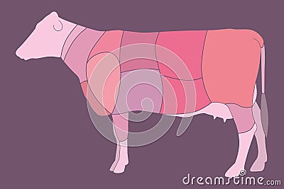 Beef Carcass - Beef Cuts Diagram Vector Illustration | CartoonDealer ...