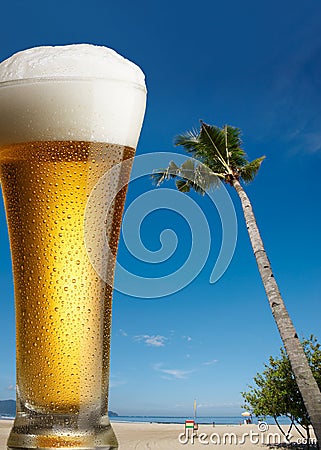 Beer On Beach Royalty Free Stock Photo - Image: 8181765