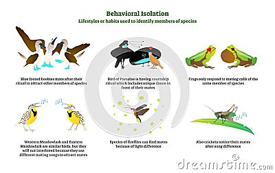 Behavioral Isolation Vector Illustration Collection Set. Explanation ...