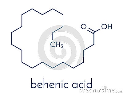 Behenic Acid Docosanoic Acid Saturated Fatty Acid Molecule. Skeletal ...