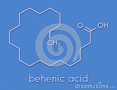 Behenic Acid Docosanoic Acid Saturated Fatty Acid Molecule. Skeletal ...