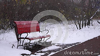 Bench in the Park, Snow Falling Stock Video - Video of tree, snowflake ...