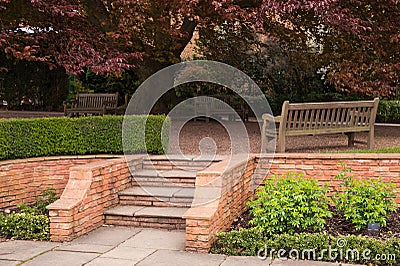 Benches Under Tree Royalty-Free Stock Photo | CartoonDealer.com #31360515