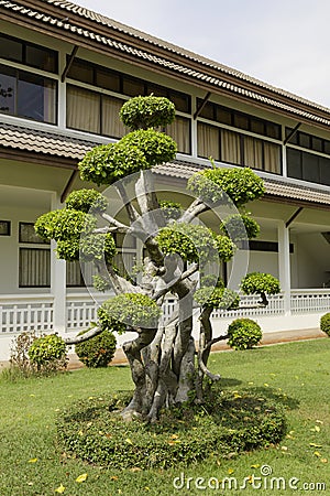 Bending Tree Stock Image | CartoonDealer.com #48850927