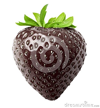 Berry Black Strawberry Isolated Royalty Free Stock Photography - Image ...