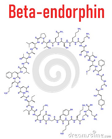 Beta-endorphin Endogenous Opioid Peptide Molecule. Skeletal Formula ...