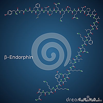 Beta Endorphin Molecule. Peptide Hormone. Skeletal Chemical Formula ...