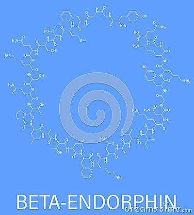 Beta-endorphin Molecule. Skeletal Formula. Cartoon Vector ...