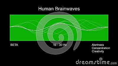 Beta Human Brain Waves Diagram. Stock Video - Video of head, meditation ...