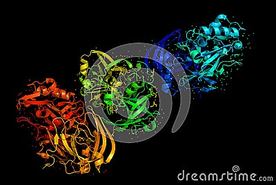 Beta Secretase Involved In Alzheimer's Disease Royalty Free Stock Photo ...