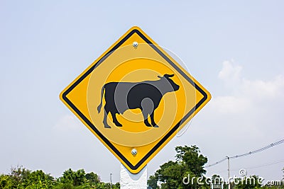 Beware Of Cow Royalty-Free Stock Photography | CartoonDealer.com #43790021