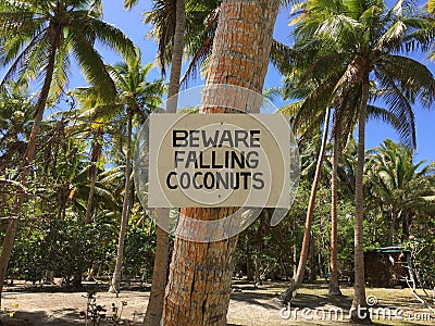 Beware Of Falling Coconuts Pacific Ocean Stock Photography ...