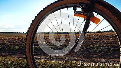 Bicycle Wheel in Motion in Nature. Close-up View of a Bicycle Wheel in ...