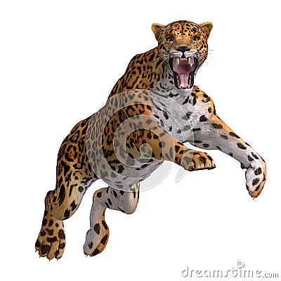 Big Cat Jaguar Stock Photography - Image: 9190362