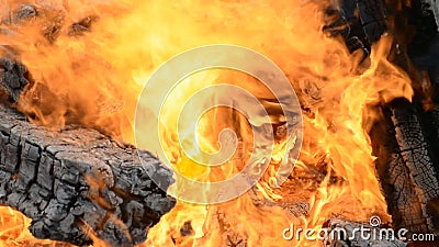 Big flame on fire close up stock footage. Video of bonfire - 166272948