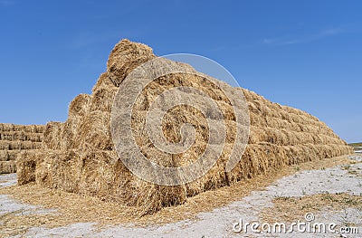 Big Haystack From Round Bales Laid In The Form Of A Pyramid Against The ...