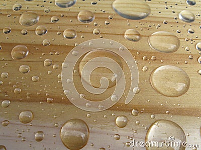 Water on Wood stock image. Image of deck, water, wood, sunlight - 158811