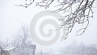 Big snowflakes falling stock video. Video of weather - 62992071