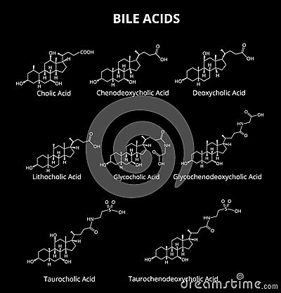 Bile Acids Set. Chemical Molecular Formula Of Bile Acids. Vector ...
