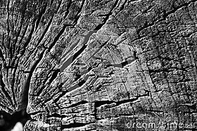 Billet Block Forest Black Abstract Log Timber Royalty-Free Stock ...