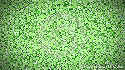 Bio Background stock footage. Video of microscope, close - 51837416