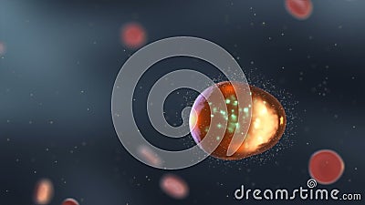 Biological Animation, Loop Able. Unknown Cell Inside the Human Body ...