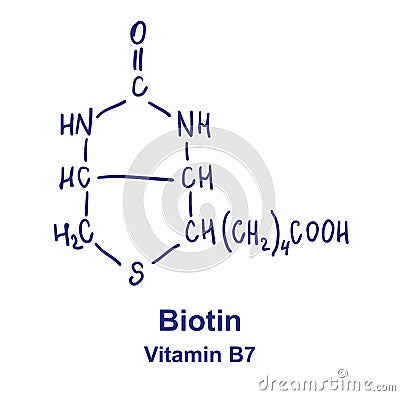 Biotin Chemical Structure. Vector Illustration Hand Drawn ...