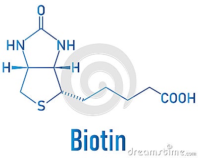 Biotin Or Vitamin B7 Molecule. Skeletal Formula. Cartoon Vector ...