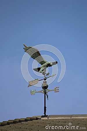 Bird Compass Stock Photography | CartoonDealer.com #45130814