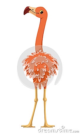 Bird Greater Flamingo Vector Cartoon Illustration | CartoonDealer.com ...