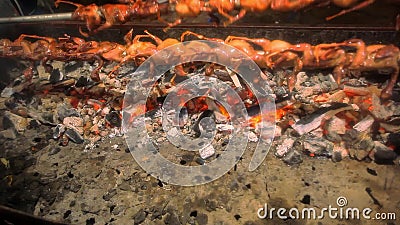 Bird Roast on a Spit in Night Market Thailand Koh Stock Footage - Video ...