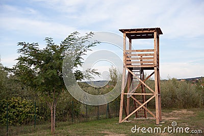 Bird Watching Platform Stock Photo - Image: 47928103