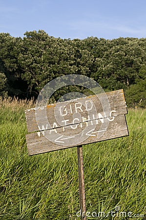 Bird Watching Sign Stock Image | CartoonDealer.com #10478833