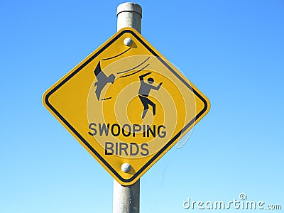 Swooping Birds Warning Sign Royalty Free Stock Photography - Image ...
