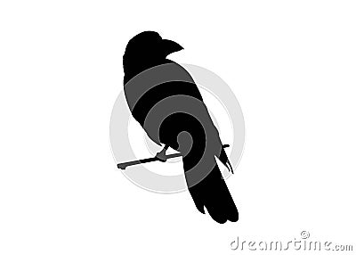 Corvus Silhouette Royalty-Free Stock Photography | CartoonDealer.com ...