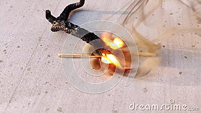 Black Snake Firecracker Also Known As Snake Tablet Stock Video - Video ...