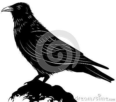 Black Vector Raven On White Background Stock Vector - Image: 54698145