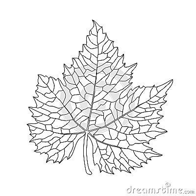 Black On White Grape Leaf Stock Vector - Image: 52241496