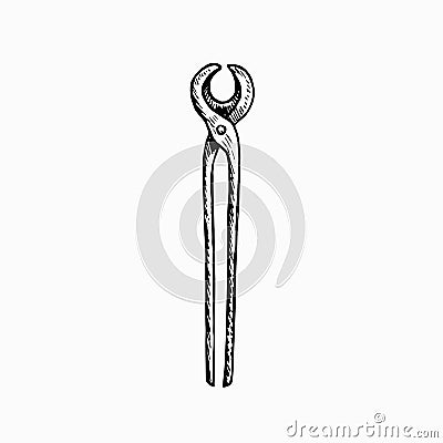 Blacksmith Tongs For Forging, Gravure Style Hand Drawing Vector ...