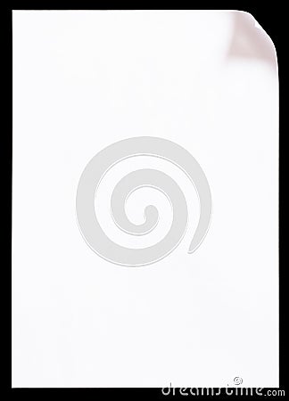 Blank White Sheet Of Paper Stock Photo - Image: 8198450